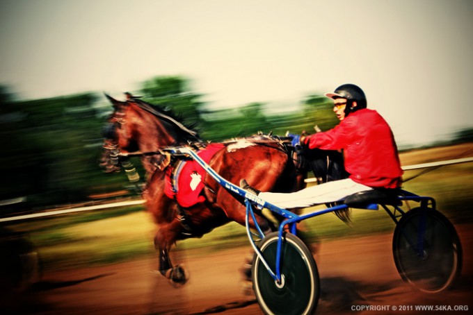 Traditional buggy race II - 54ka [photo blog]