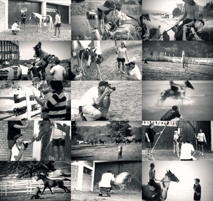 Dimitar Hristov – Equestrian photography – Behind the scenes - 54ka ...