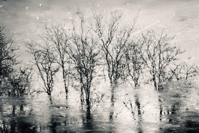 Winter forest reflection on the frozen lake - 54ka [photo blog]