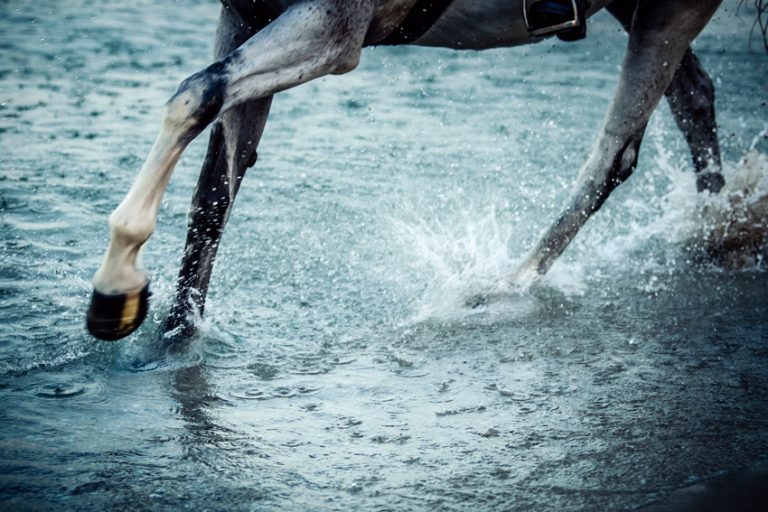 Horse legs running on the water - 54ka [photo blog]